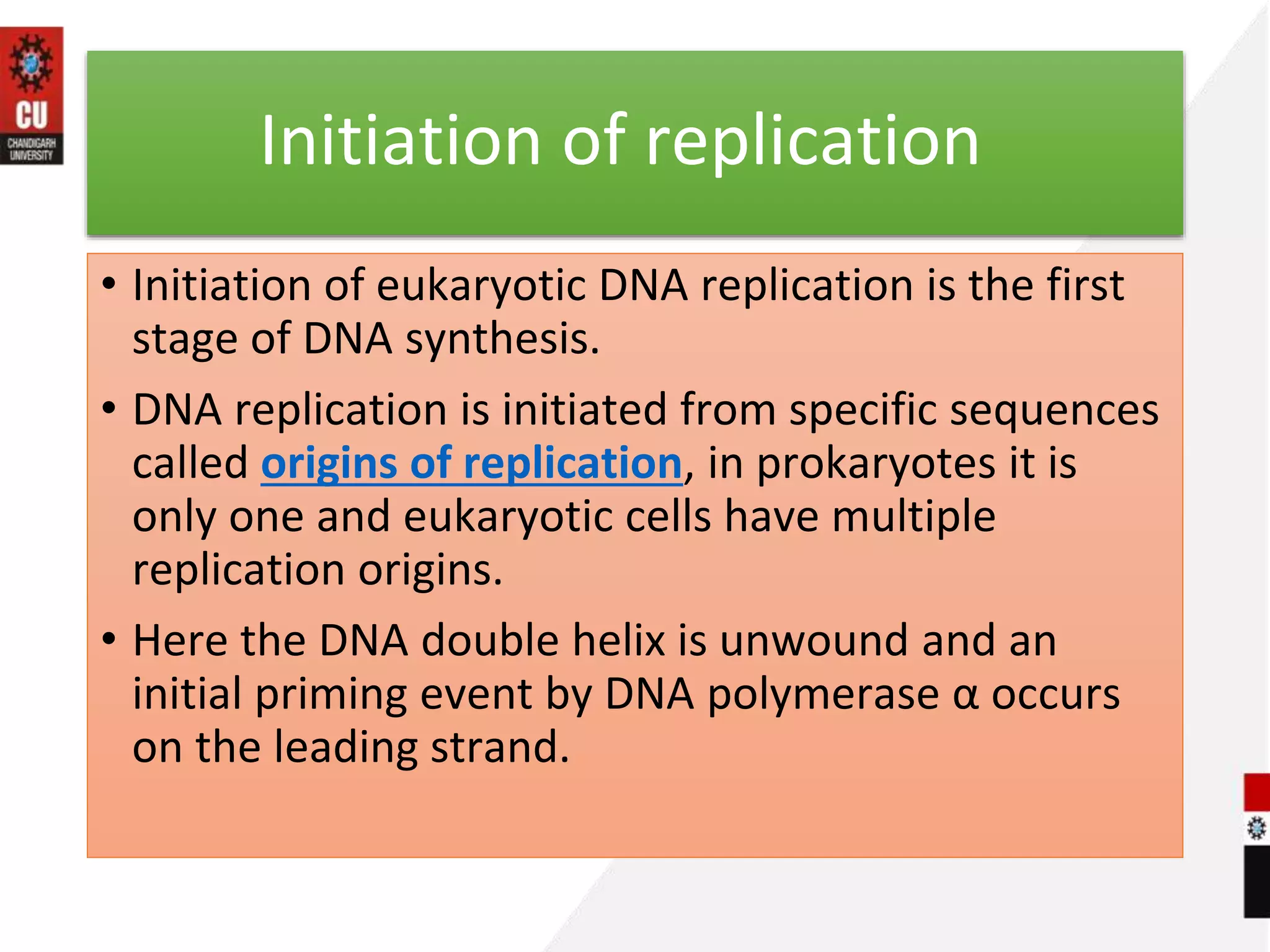 initiation in eukaryotes during replication process | PPTX