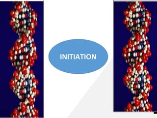 initiation in eukaryotes during replication process | PPTX