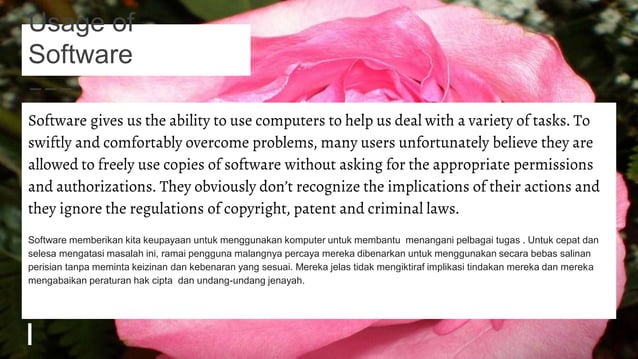 Introduction to Computer Software | PPT