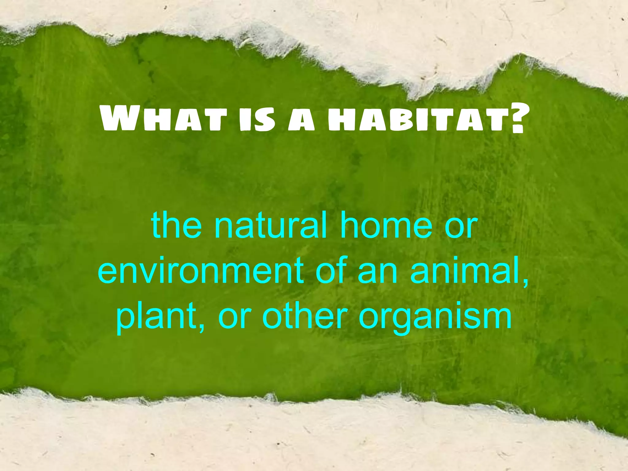 Copy of Introduction to Habitats Project | PPT