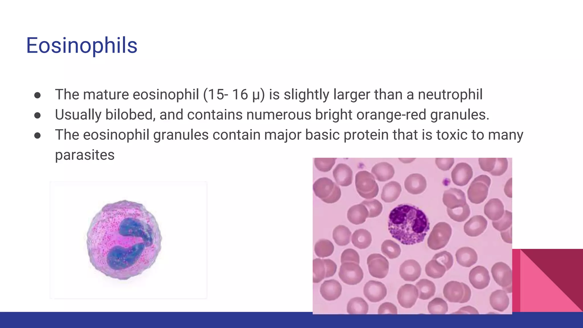 Introduction to hematology.pptx