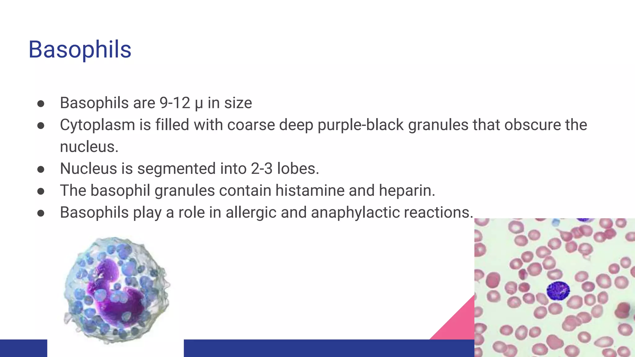 Introduction to hematology.pptx