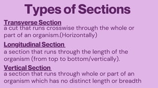 WASSCE Introduction to Biology Lecture Slides (Part 2) | PDF
