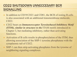 B cell mediated effector function | PPTX