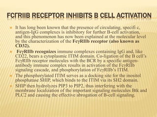 B cell mediated effector function | PPTX