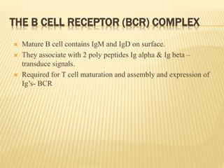 B cell mediated effector function | PPTX