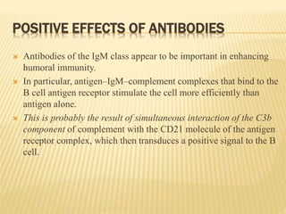 B cell mediated effector function | PPTX