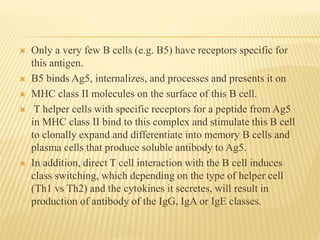 B cell mediated effector function | PPTX