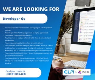 Job offers – Developer Go.pdf