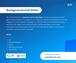 Job offers – Developer Go.pdf