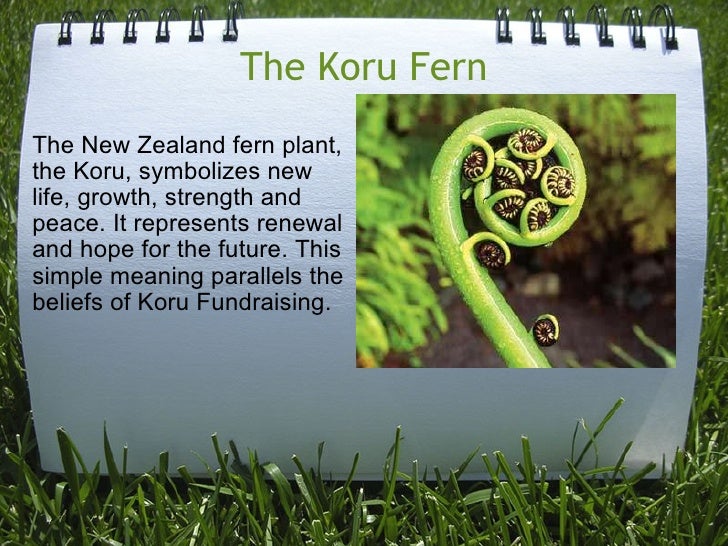 Koru Fundraising
