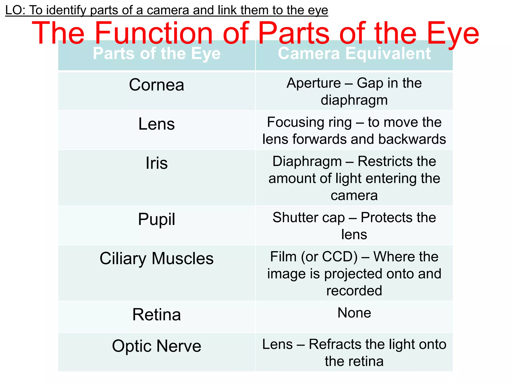 Copy of L5 - The Eye and the Camera (1).ppt