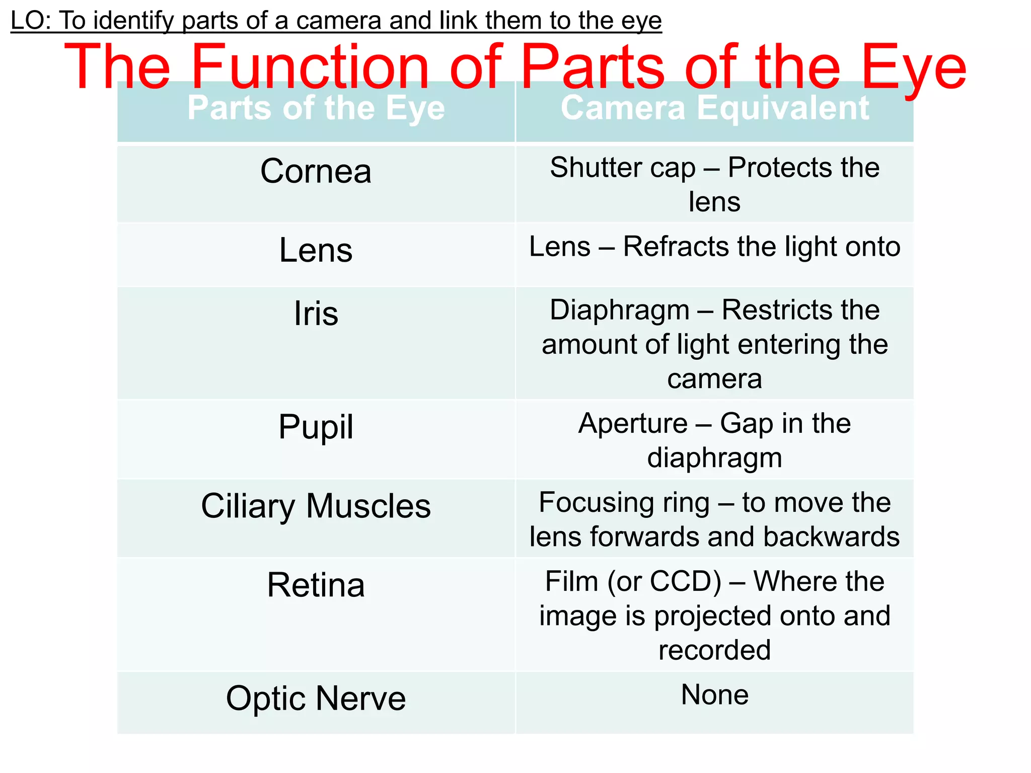 Copy of L5 - The Eye and the Camera (1).ppt