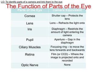 Copy of L5 - The Eye and the Camera (1).ppt