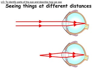 Copy of L5 - The Eye and the Camera (1).ppt
