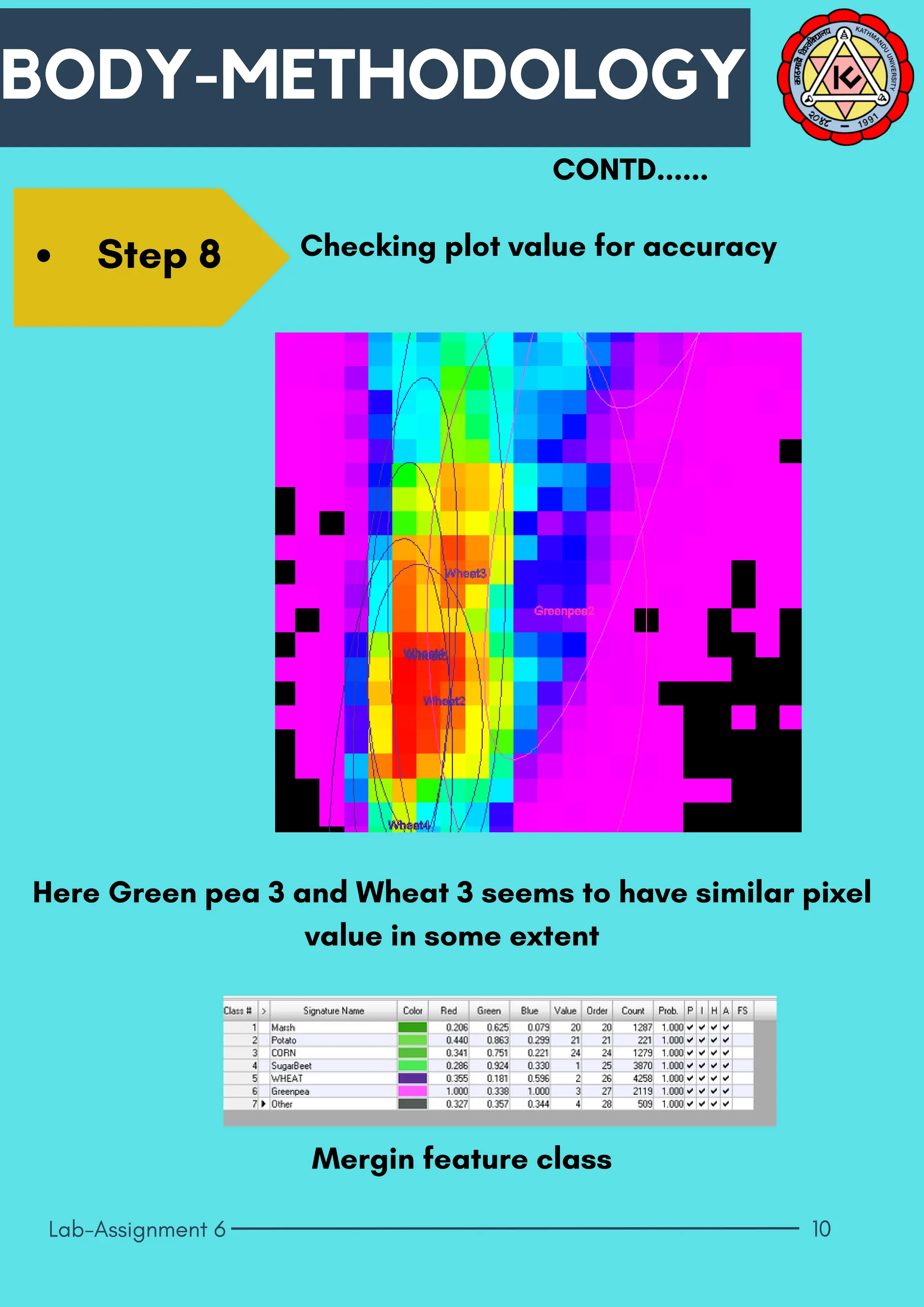 Image Classification- Supervised Classification | PDF