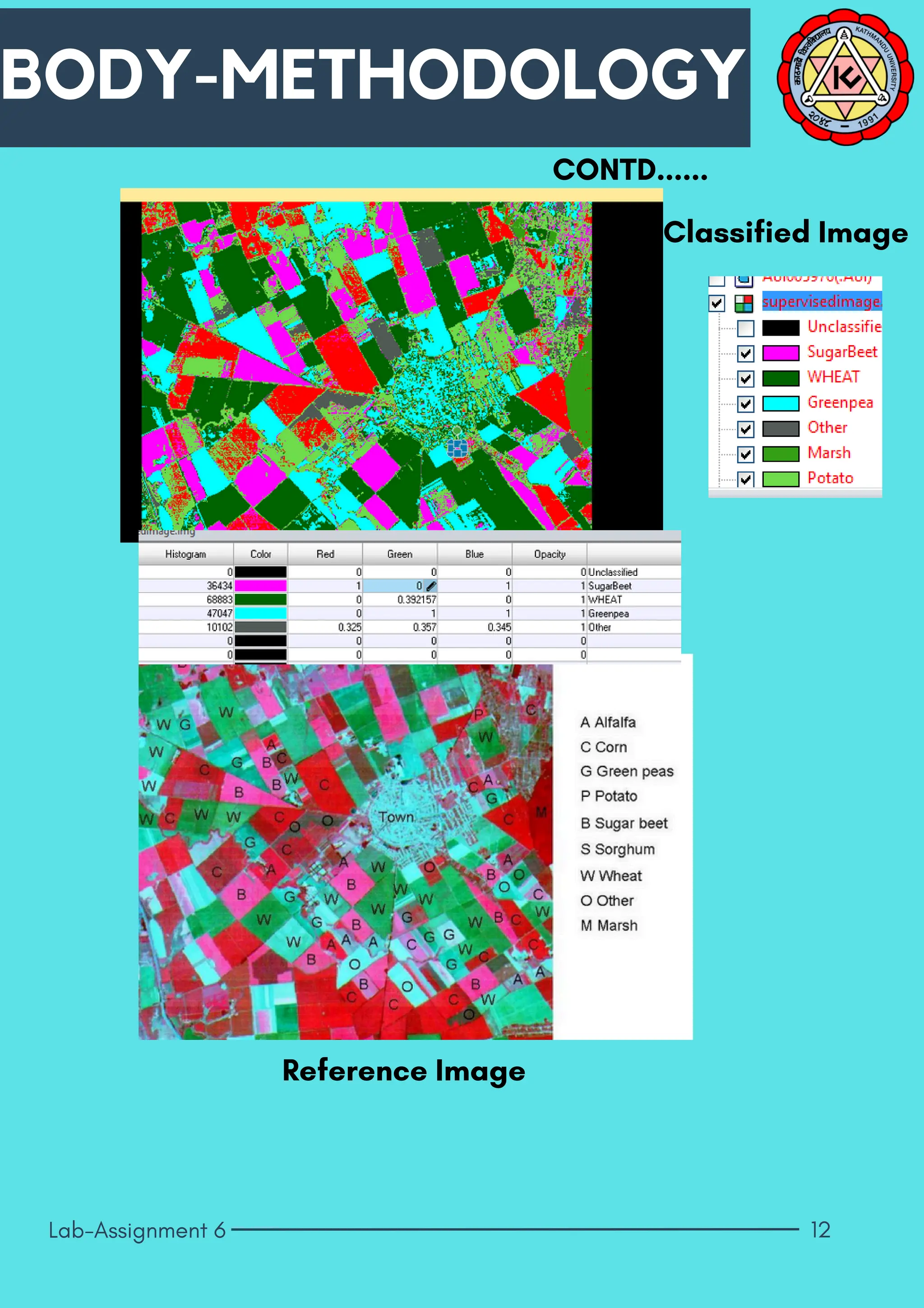 Image Classification- Supervised Classification | PDF
