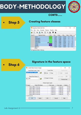 Image Classification- Supervised Classification | PDF