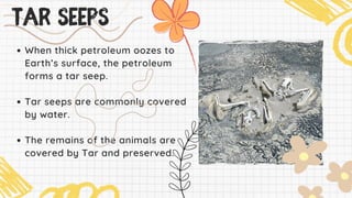 Index Fossils and Formation of Fossils REPORT | PDF