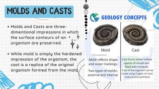 Index Fossils and Formation of Fossils REPORT | PDF