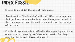 Index Fossils and Formation of Fossils REPORT | PDF | Geology | Science