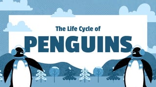Copy of Life Cycle of Penguin Lesson Slides..pdf