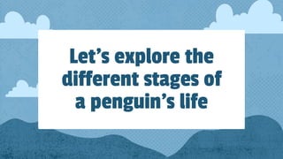Copy of Life Cycle of Penguin Lesson Slides..pdf