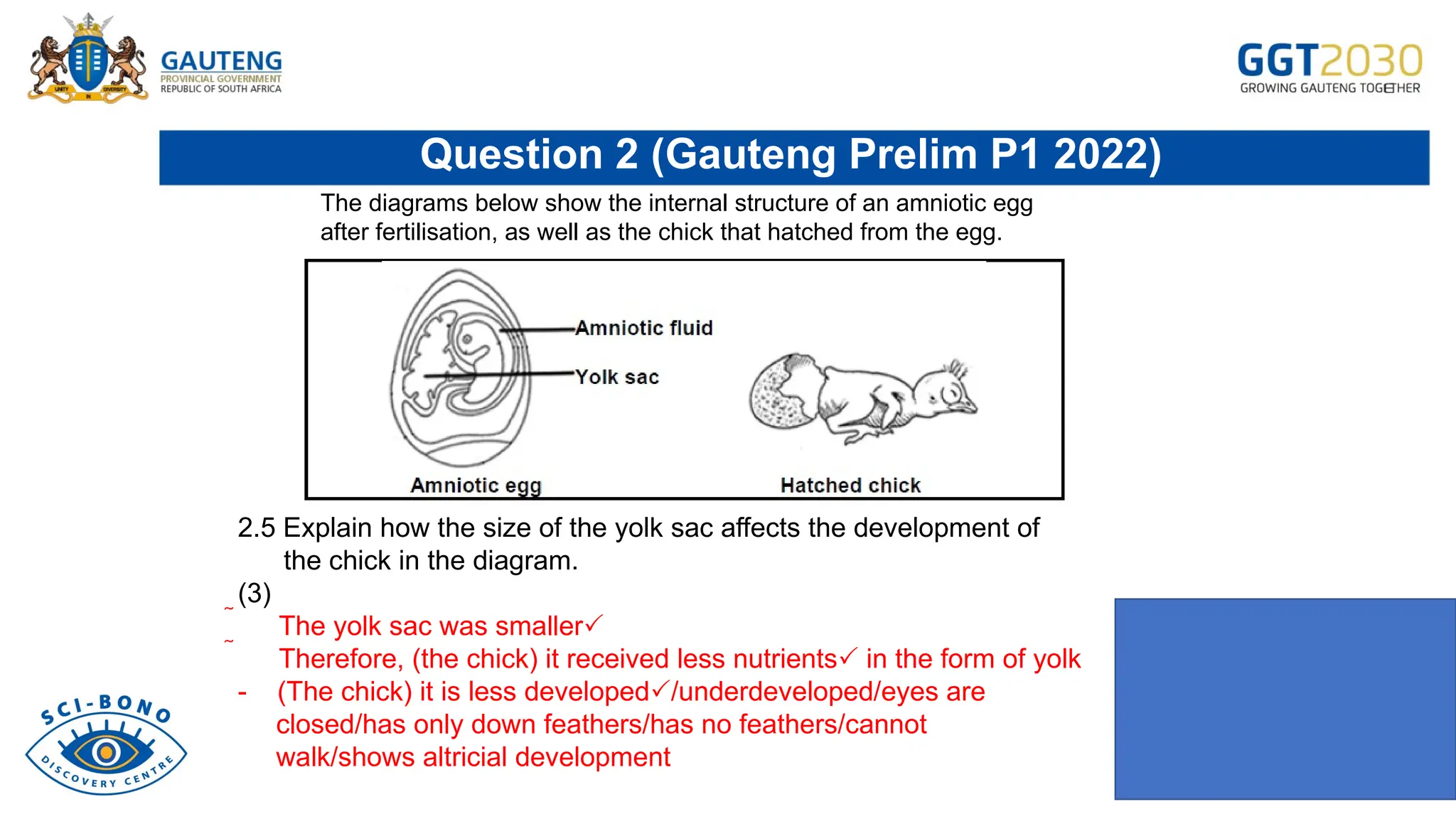 Copy of Life Sciences Reproduction in vertebrates 22 February 2024.pptx