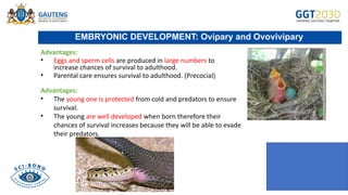 Copy of Life Sciences Reproduction in vertebrates 22 February 2024.pptx