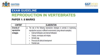 Copy of Life Sciences Reproduction in vertebrates 22 February 2024.pptx