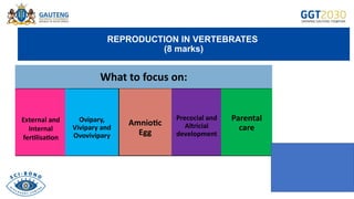 Copy of Life Sciences Reproduction in vertebrates 22 February 2024.pptx