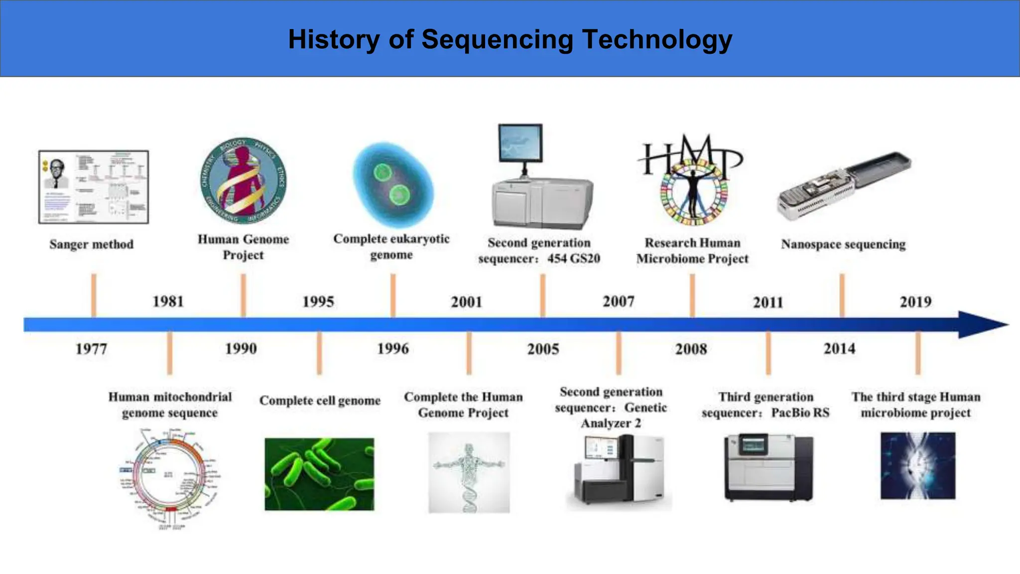 Manal- sequencing presentation-biotechpresentation-.pptx | Biological Sciences | Science