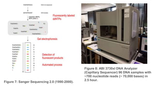 Manal- sequencing presentation-biotechpresentation-.pptx | Biological ...