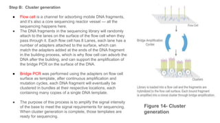 Manal- sequencing presentation-biotechpresentation-.pptx | Biological ...