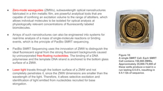 Manal- sequencing presentation-biotechpresentation-.pptx | Biological ...