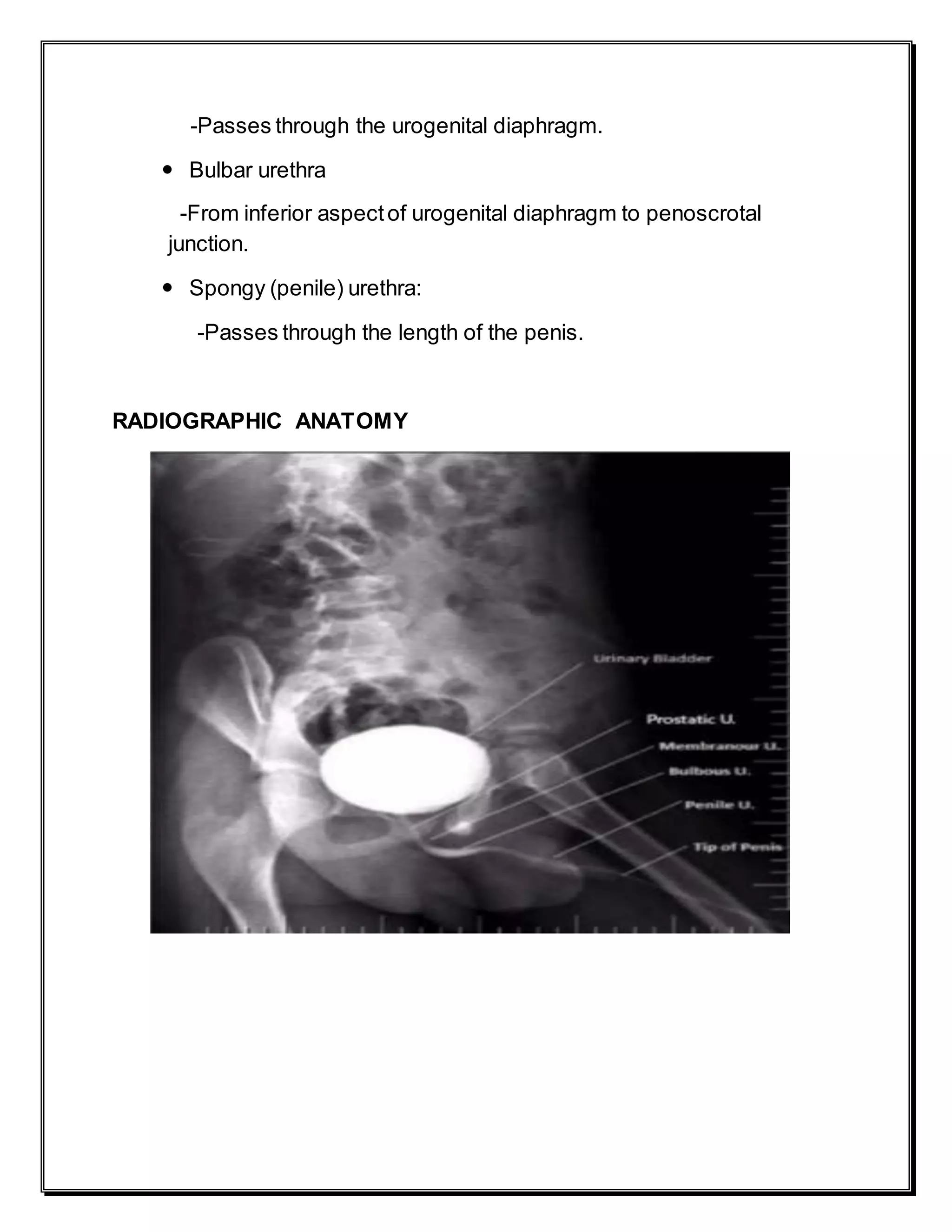MICTURATING CYSTOURETHROGRPHY AND RETROGRATE UROGRAPHY - MCU/ RGU | DOCX