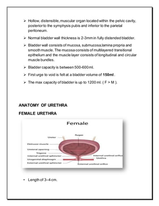 MICTURATING CYSTOURETHROGRPHY AND RETROGRATE UROGRAPHY - MCU/ RGU | DOCX