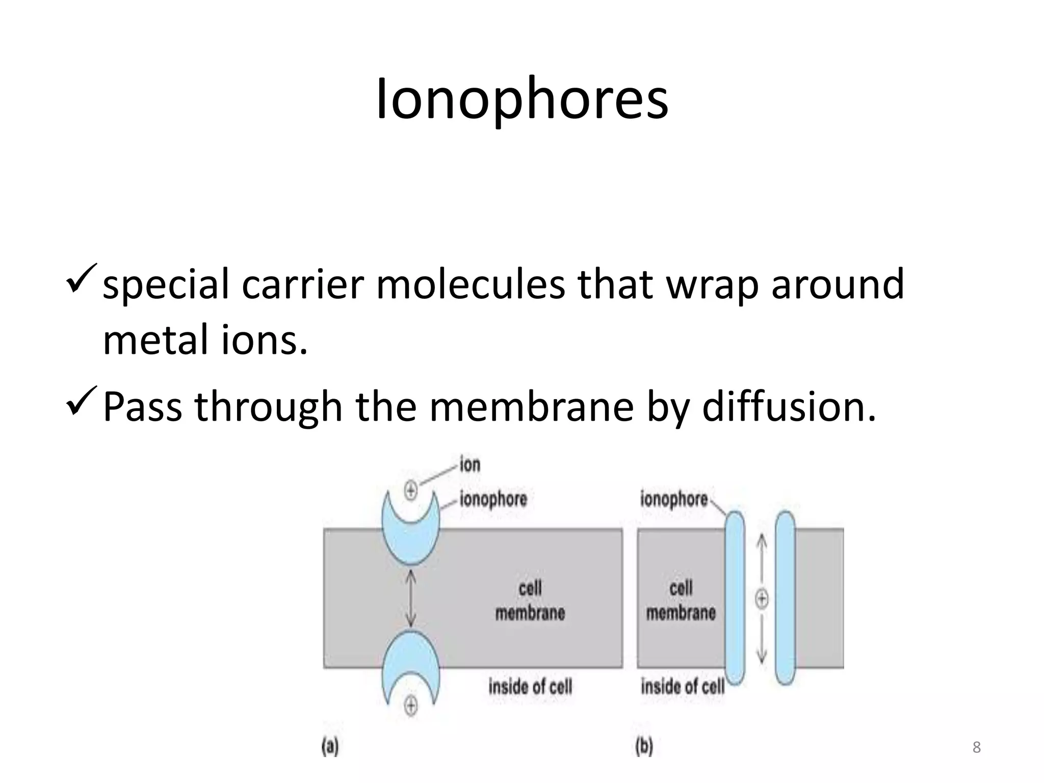 Metal ion transport and storage | PPTX