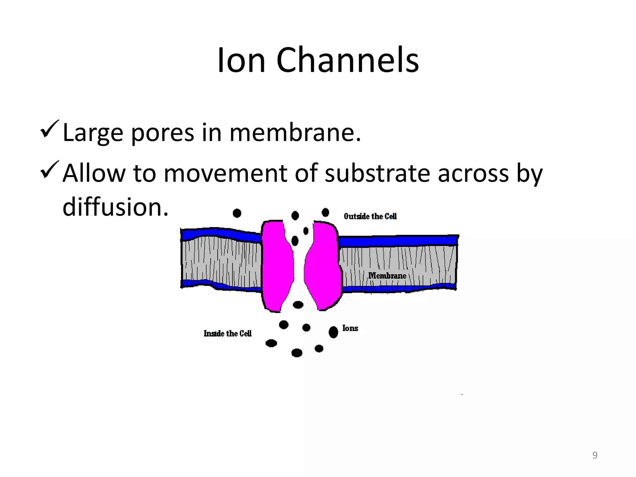 Metal ion transport and storage | PPTX
