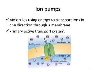 Metal ion transport and storage | PPTX
