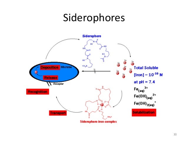 Metal ion transport and storage