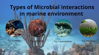 MICROBIAL INTERACTION_20241209_092401_0000.pptx