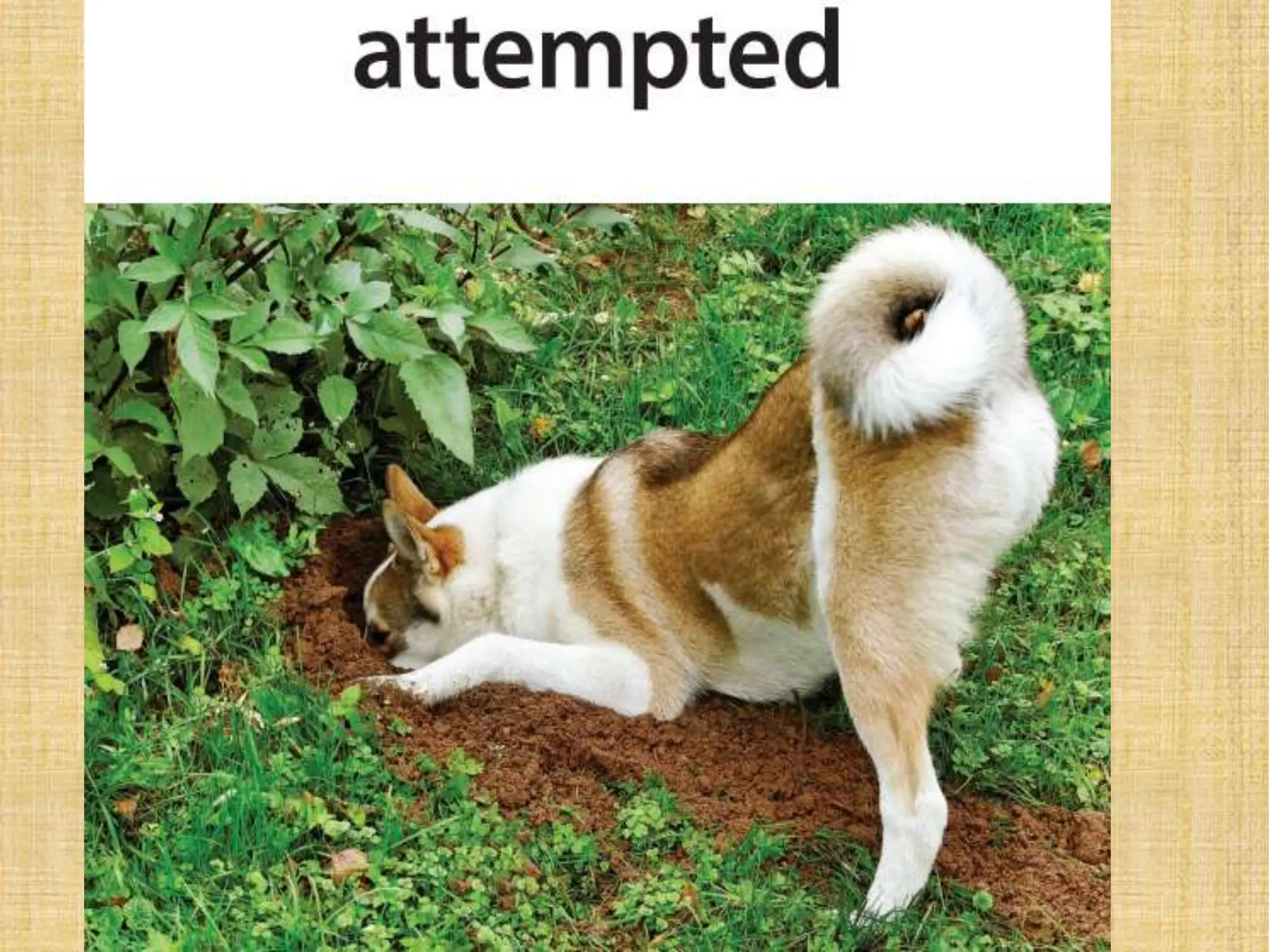 into reading grade 5 Module 2 Vocabulary 1.pptx