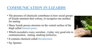 Copy of NANDINI BN FINAL 4 (2).pptx