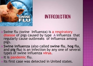 swine Flu Influenza Pptx | PPTX