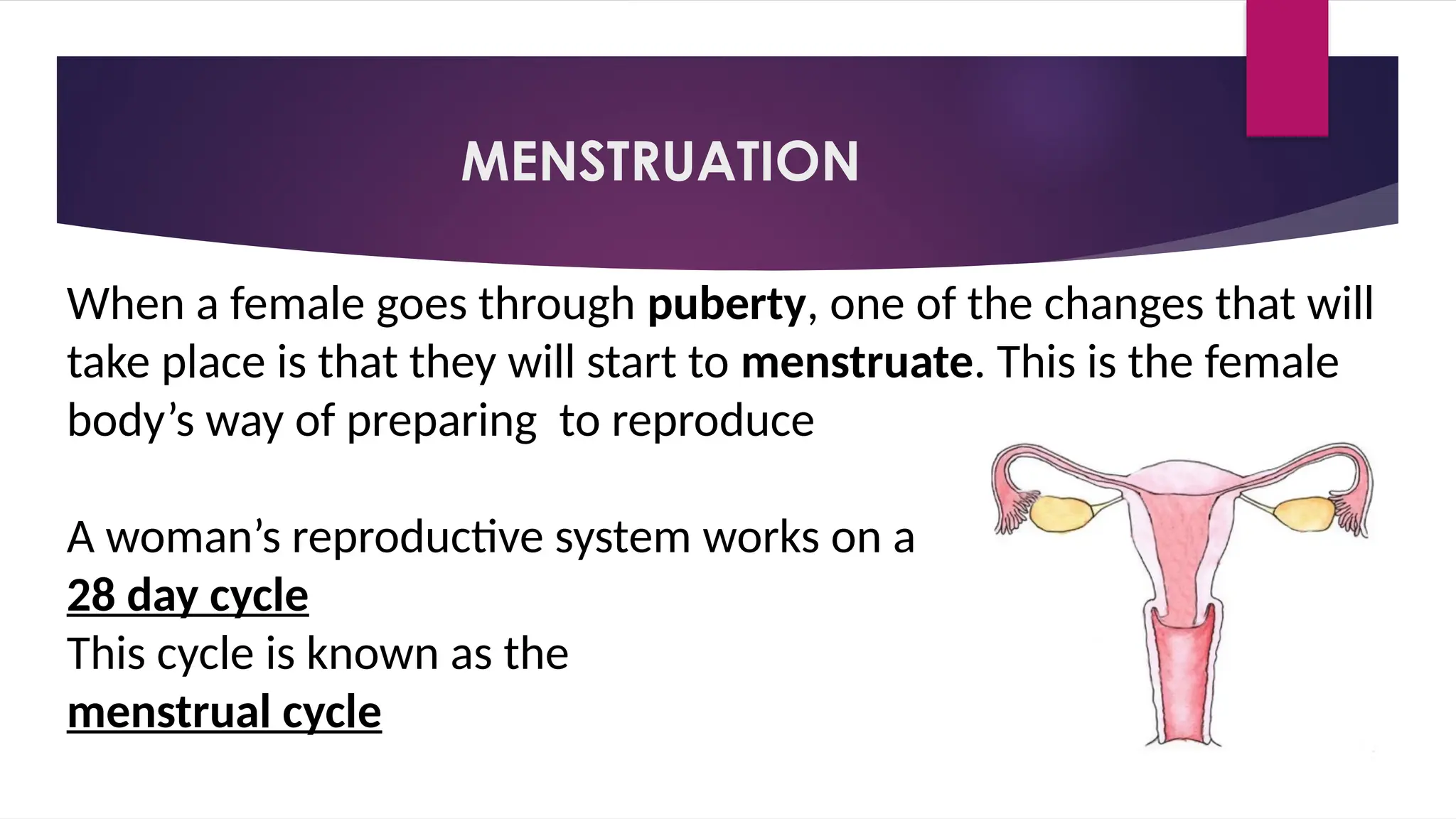 Natural Sciences Grade 9 Human reproduction | PPTX