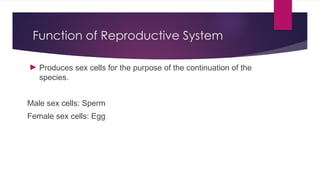 Natural Sciences Grade 9 Human reproduction | PPTX