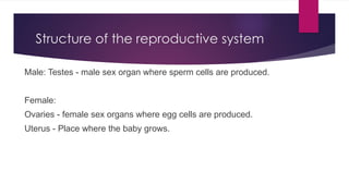 Natural Sciences Grade 9 Human reproduction | PPTX