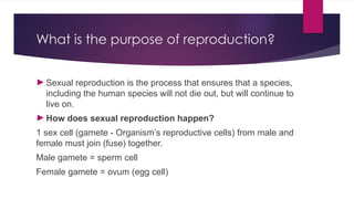 Natural Sciences Grade 9 Human reproduction | PPTX