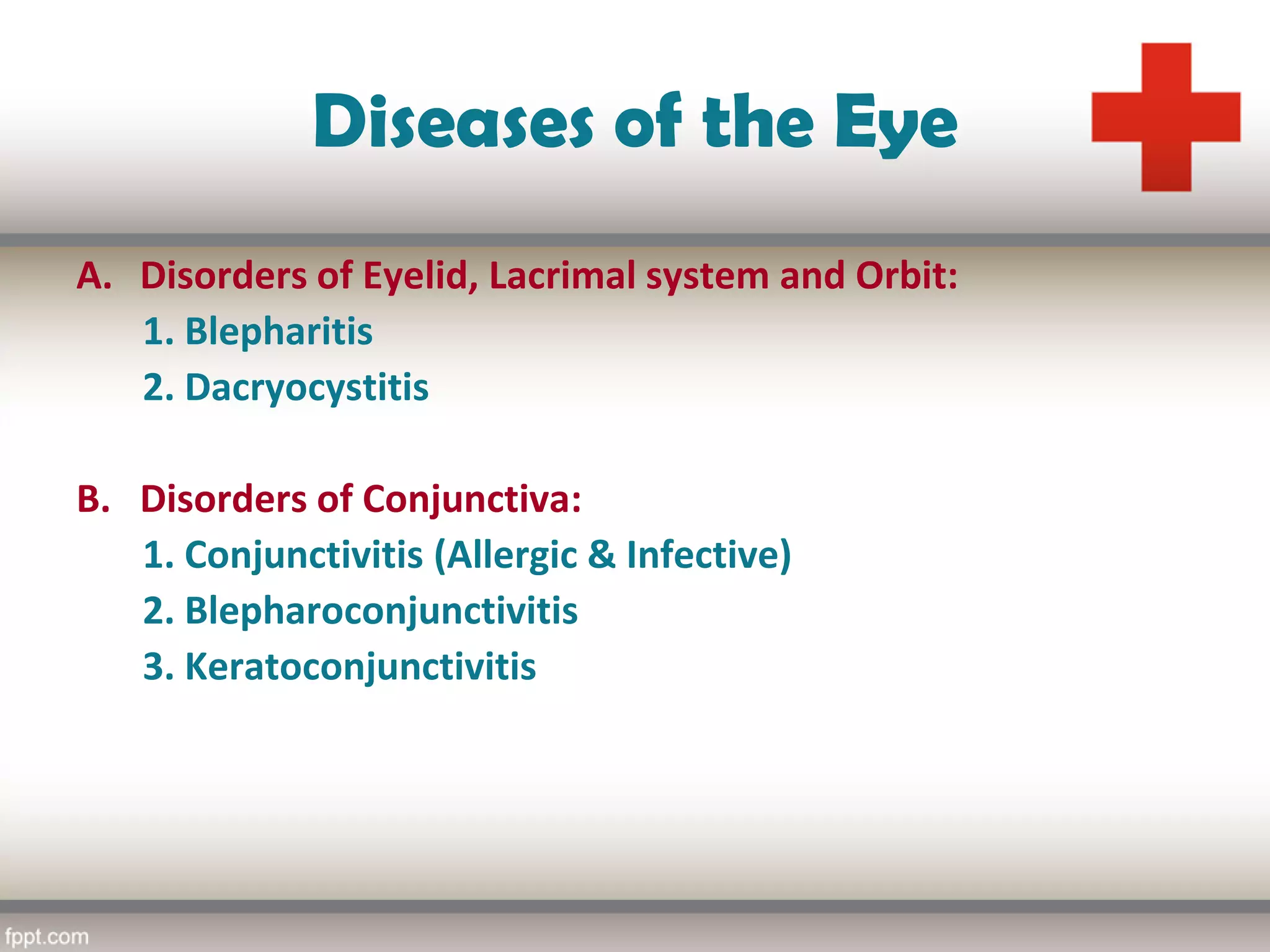 Ophthalmology | PDF